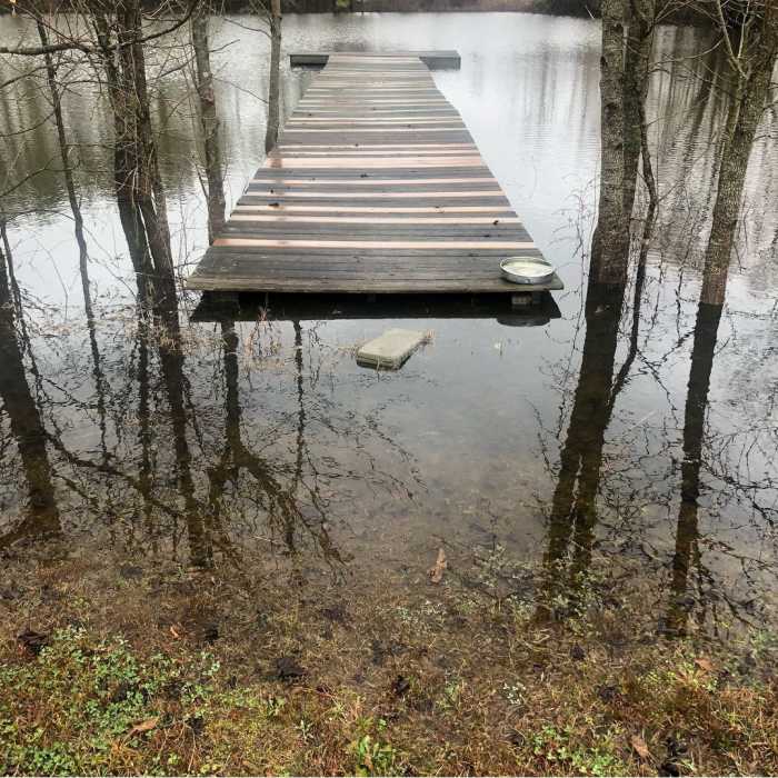 How To Properly Manage Your Koi Fish Pond During And After Rainfall ...